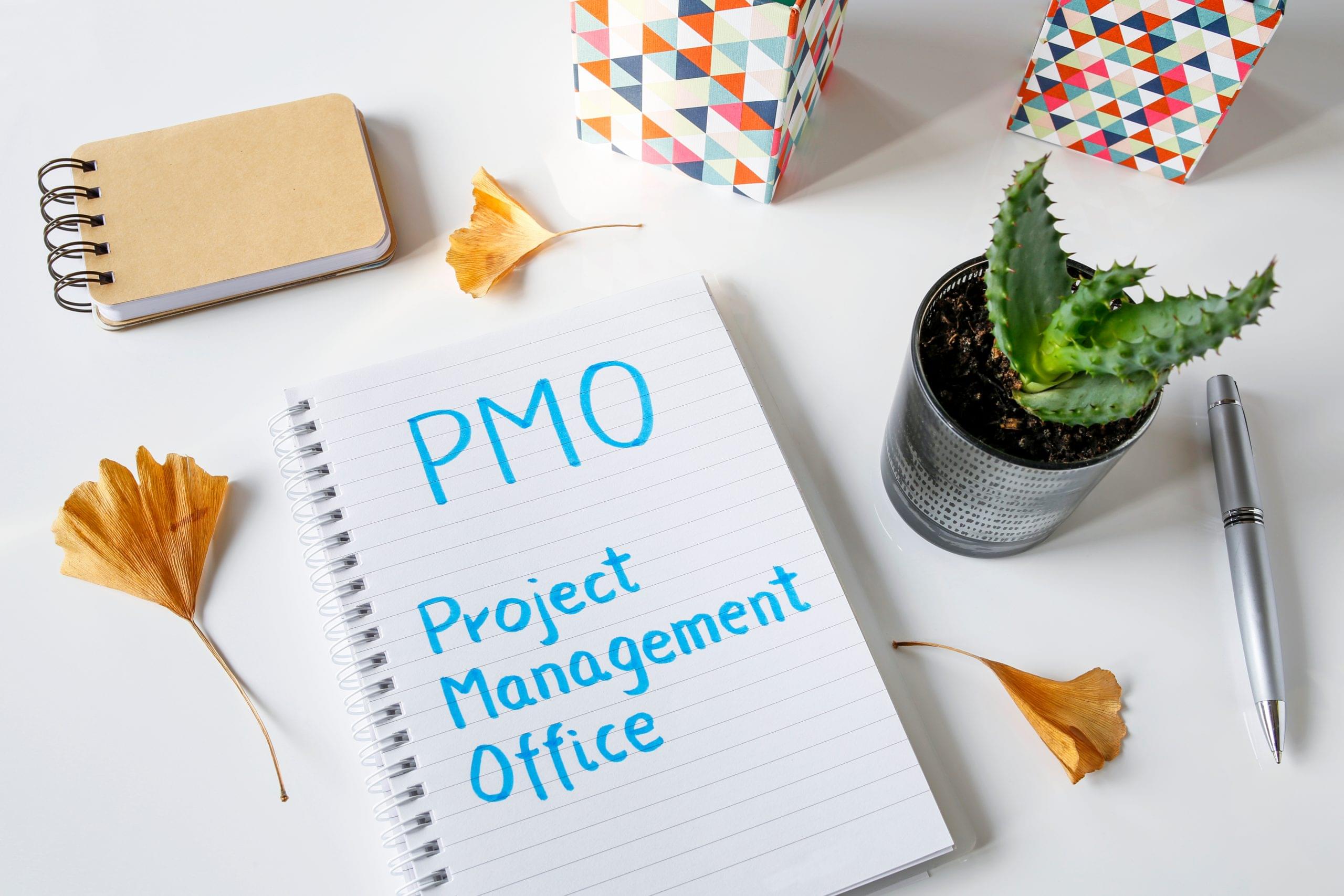 What Is A PMO A Beginner s Guide For 2024 TechnologyAdvice What Is A PMO A Beginner s Guide For 2024 TechnologyAdvice